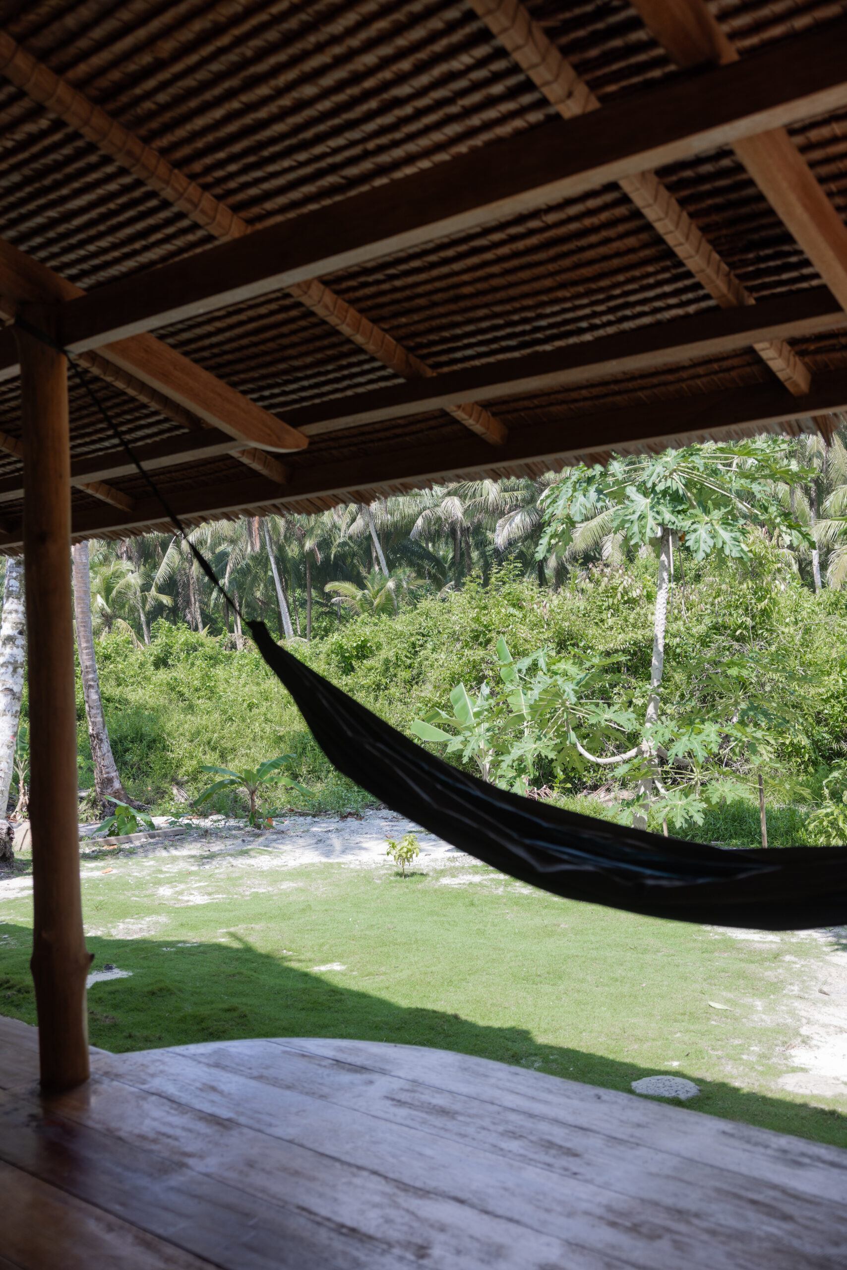 Jungle view room – The Point Mentawai