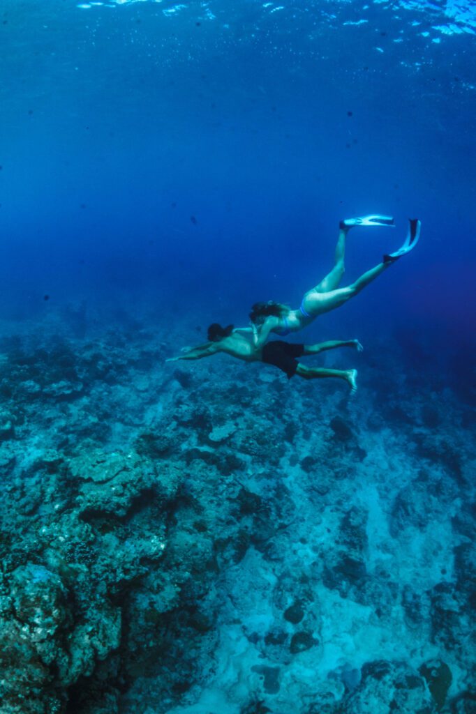 Our Activities - The Point Surf House