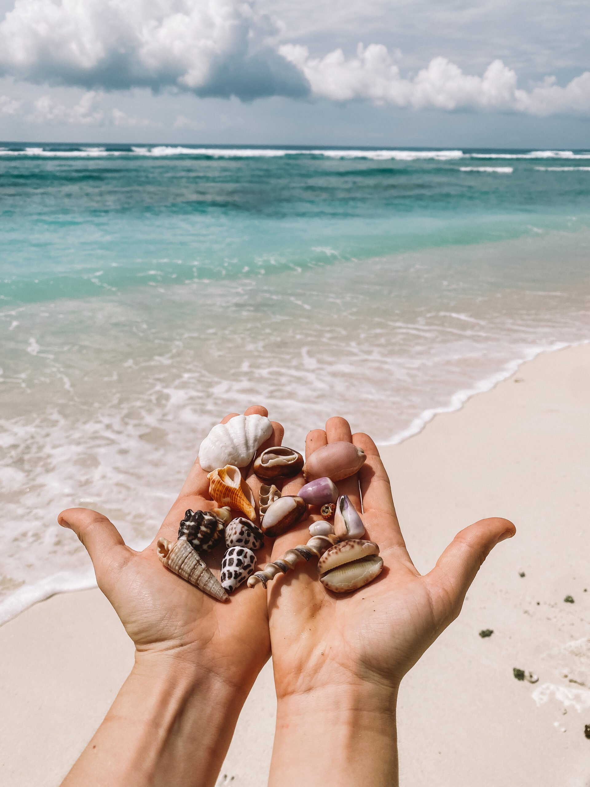 The Point Mentawai – MENTAWAI – Sipora Island. Hollow Trees World-Class ...