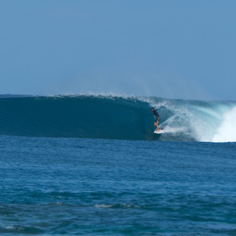 THE POINT - The Point Surf House